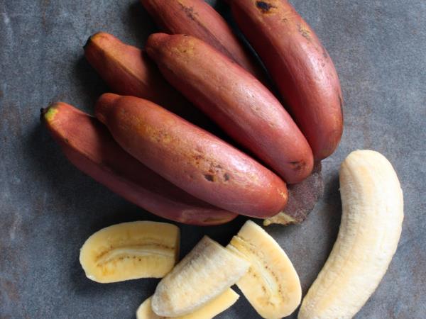 Rundum gesund: Wissenswertes über rote Bananen